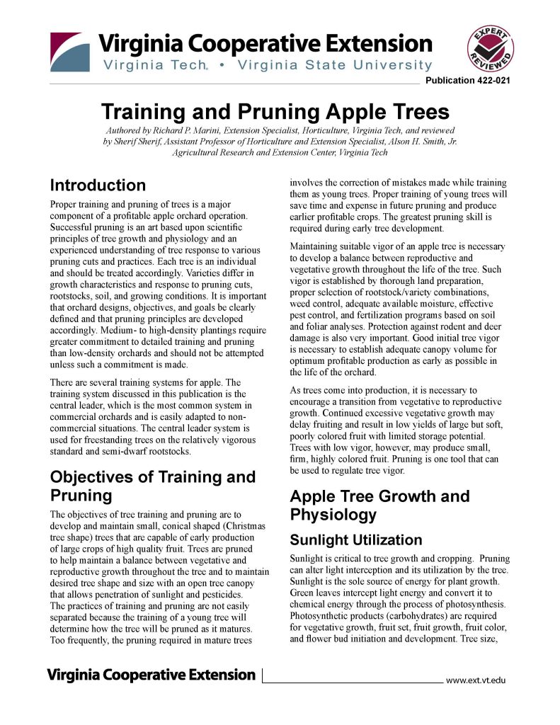Training and Pruning Apple Trees | VCE Publications | Virginia Tech