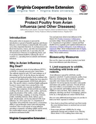 Biosecurity: Five Steps to Protect Poultry from Avian Influenza (and Other Diseases) | VCE ...