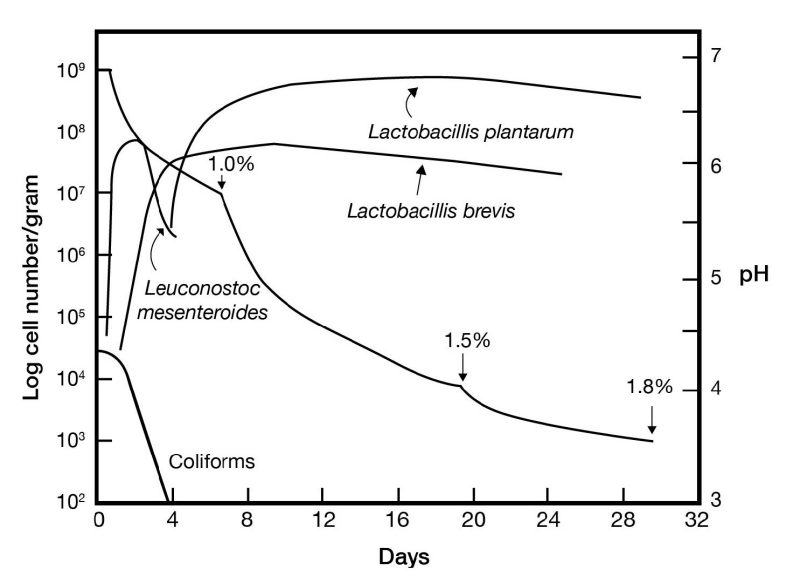 Vegetable Fermentation | VCE Publications | Virginia Tech